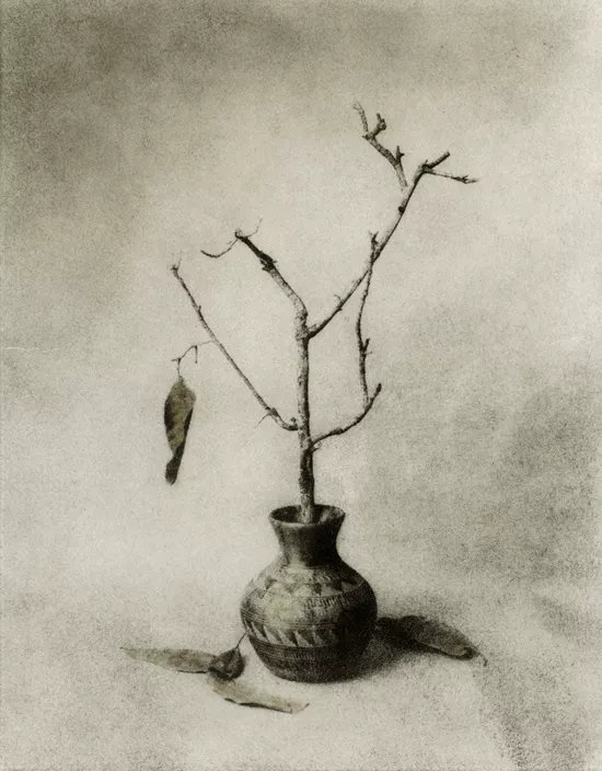 The last leaf by Alexander Tkachev, Photography, Large-format film | Art Limited