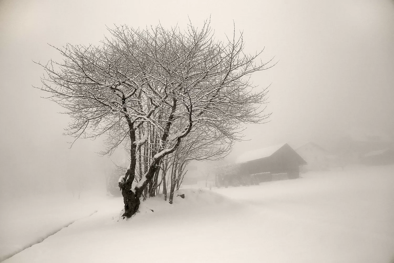 D | o | s | #151 - by Uwe Bachmann, Photography, Digital | Art Limited