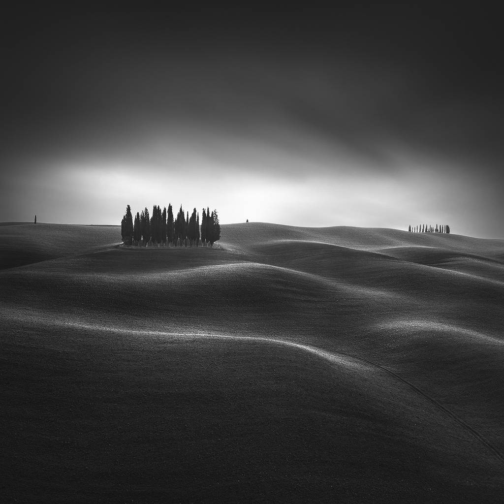 The iconic cypresses of the Val d'Orcia. Study II par Stefano Orazzini ...