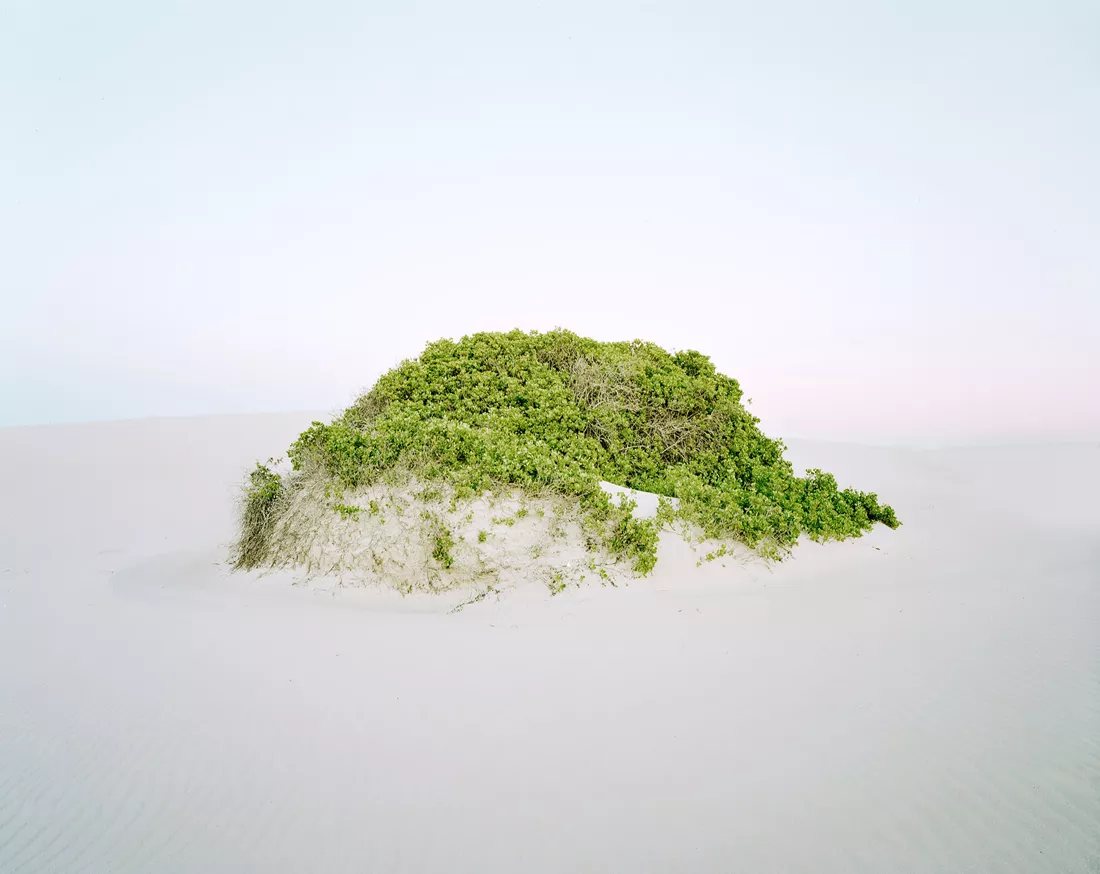 Dune by Mike Stacey, Photography, Large-format film | Art Limited