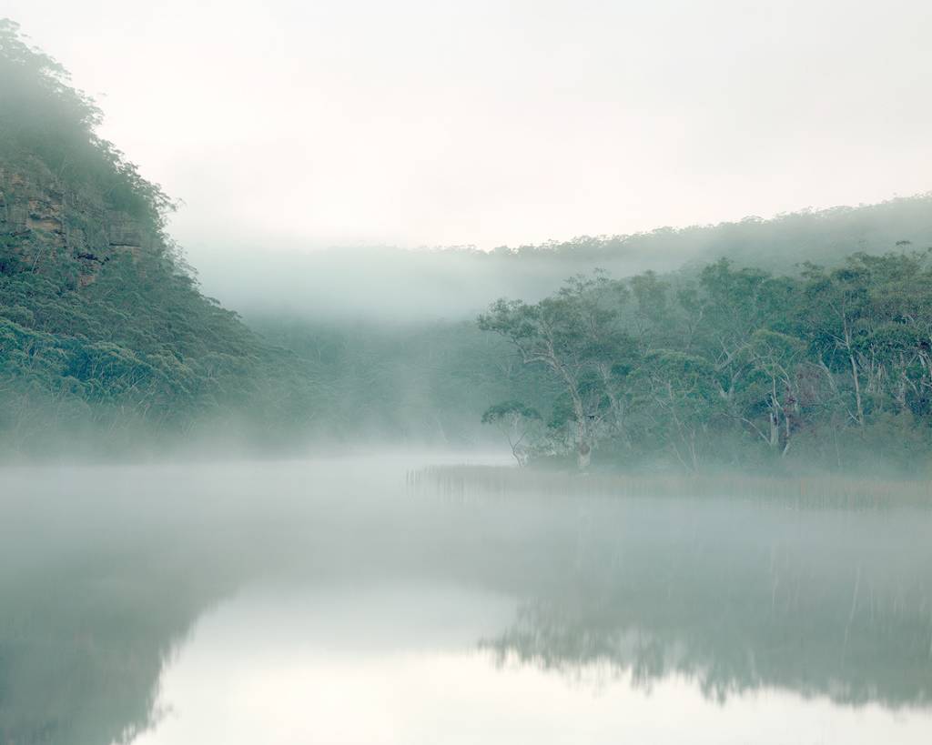 Organic Matter by Mike Stacey, Photography, Large-format film | Art Limited
