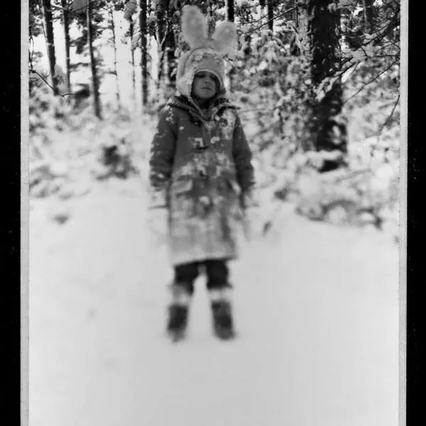 The Wild Rose by Deborah Parkin, Photography, Large-format film | Art ...