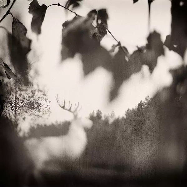 Piano by Mikhail Leschenko, Photography, Medium-format film | Art Limited