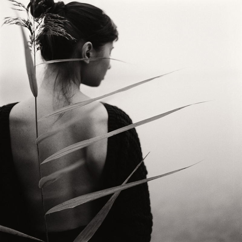 The Cane by Mikhail Leschenko, art work | Art Limited