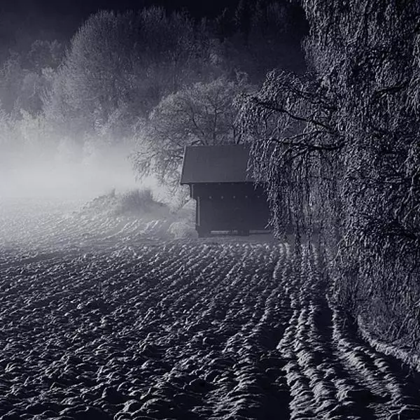 bleak winter landscape