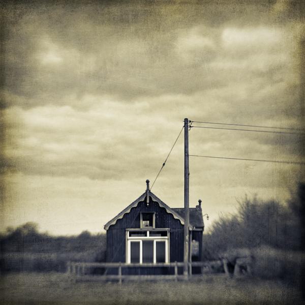 Figs On A Green Background by Mark Sadlier, Digital art, Manipulation ...