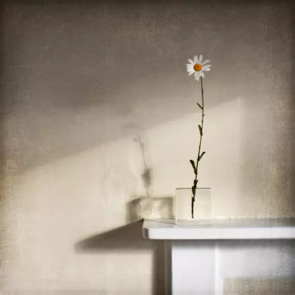 TLR by Mark Sadlier, Photography | Art Limited