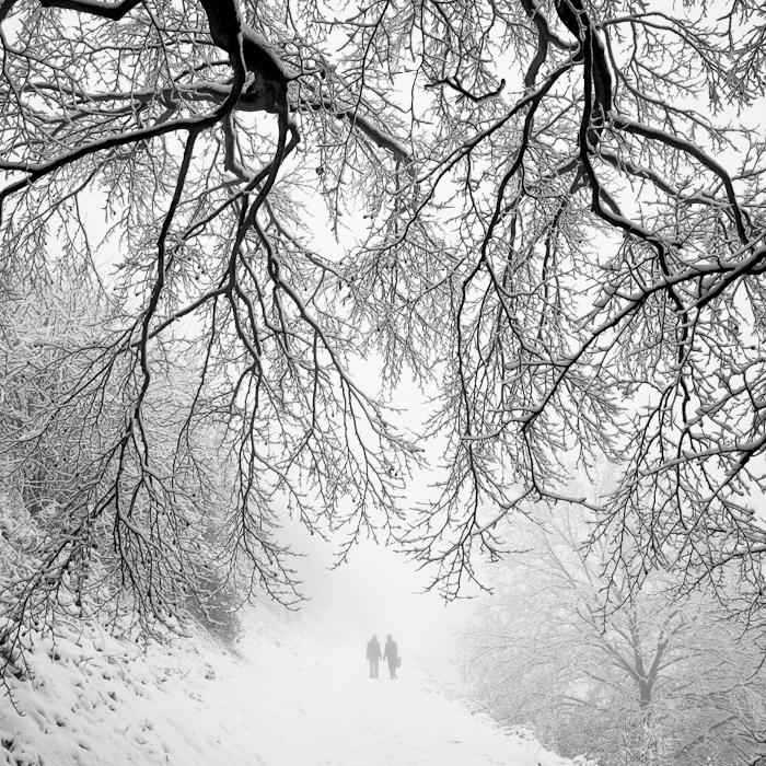 Reaching Out by Mark Sadlier, Photography, Digital | Art Limited