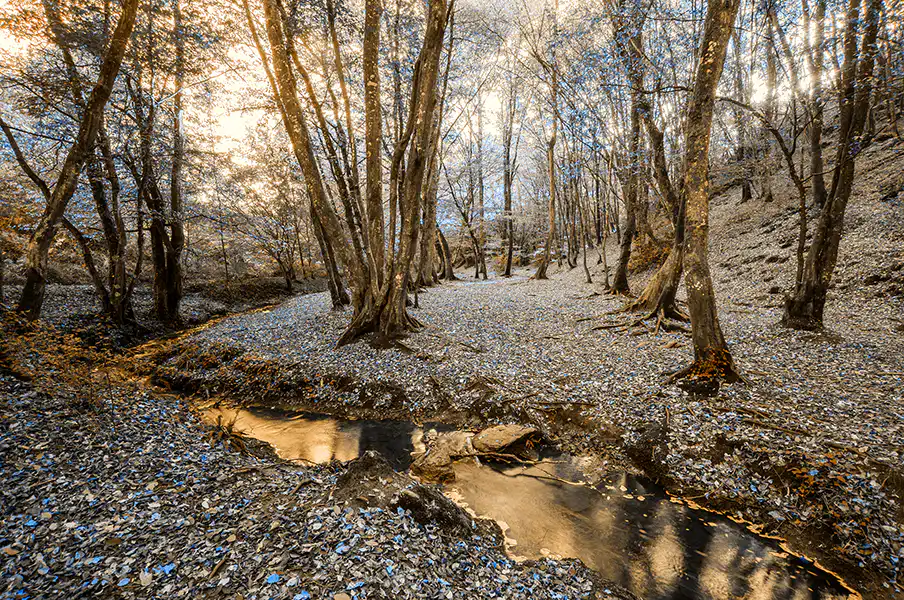 Forêts bleues (2) by Henri Manguy, Photography, Digital | Art Limited