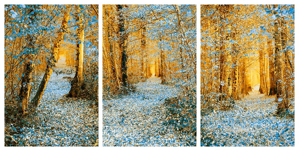Forêts bleues - Triptyque Allée en sous-bois par Henri Manguy ...