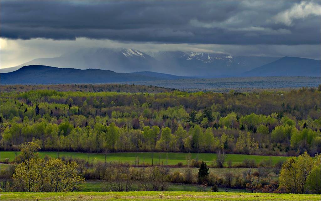 Springtime In Maine by Craig Robinson, Photography, Digital | Art Limited