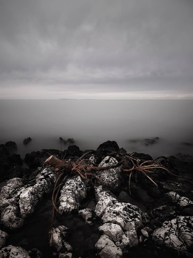 Red Roots by Walter Caterina, Photography, Digital | Art Limited