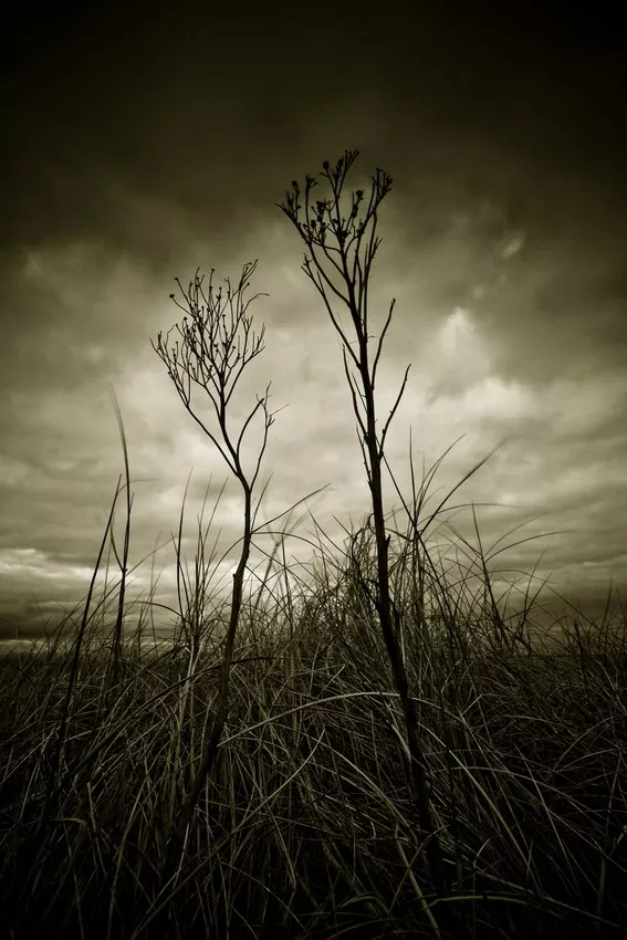 Monotone by Pawel Walkowiak, Photography | Art Limited