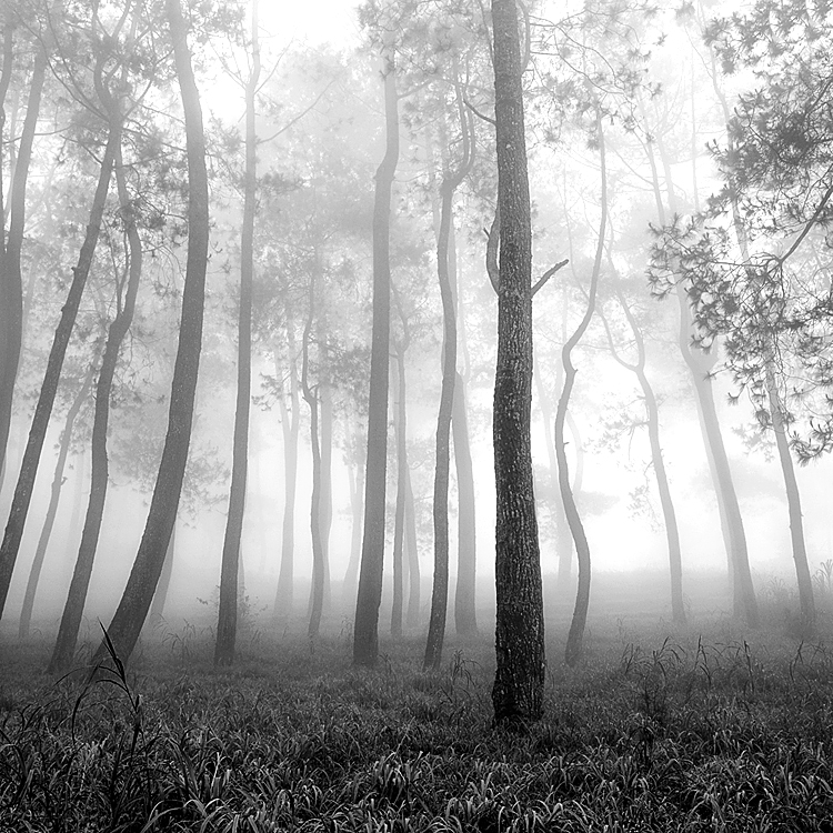 Layers by Hengki Koentjoro, Photography, Digital | Art Limited