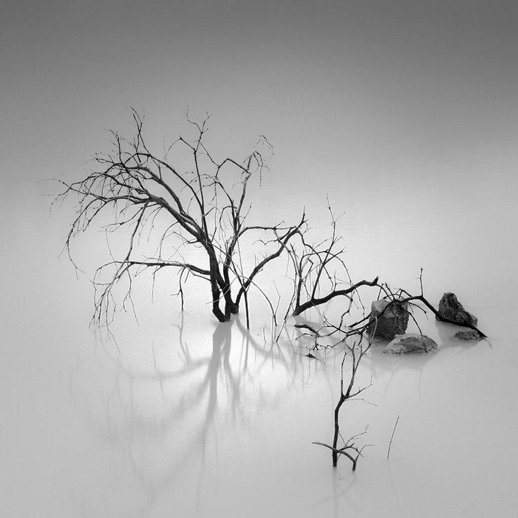 Shade Of Pale by Hengki Koentjoro, Photography, Digital | Art Limited