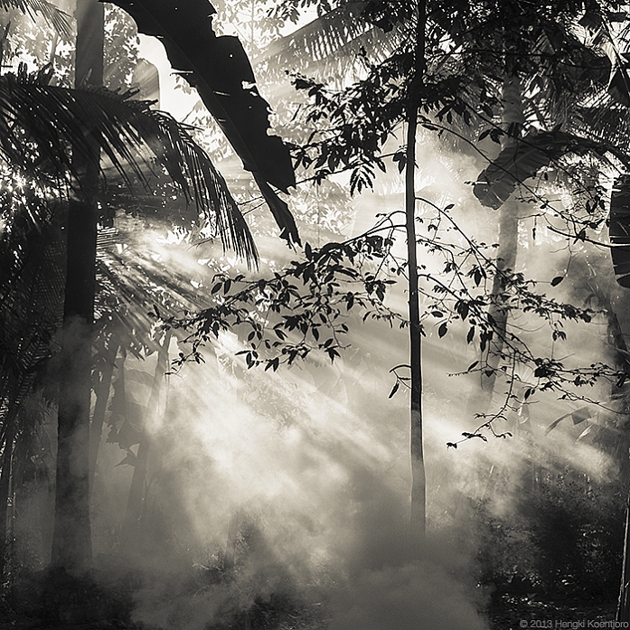 Sepia Garden by Hengki Koentjoro, Photography, Digital