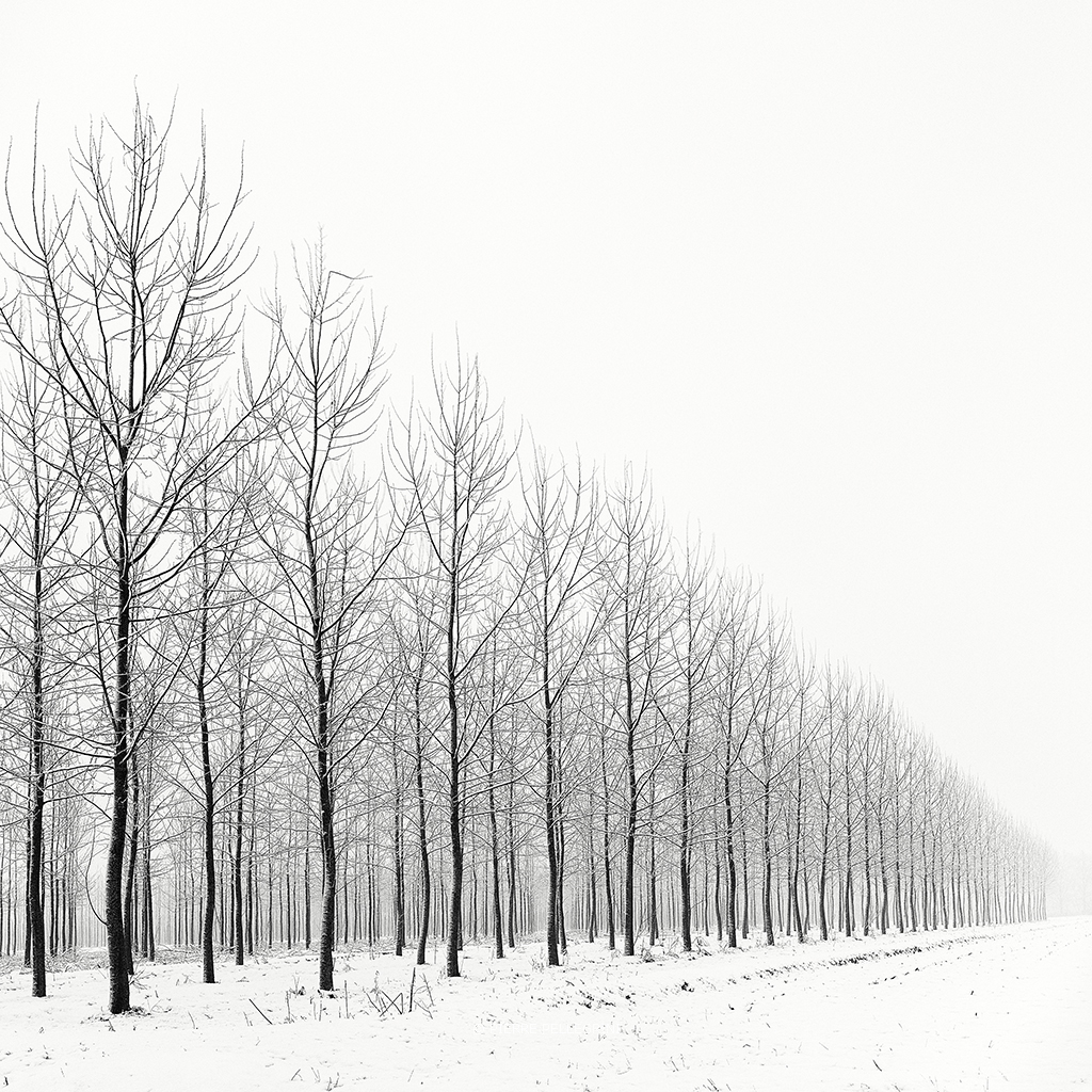 Winter perspective by Pierre Pellegrini, Photography, Digital | Art Limited