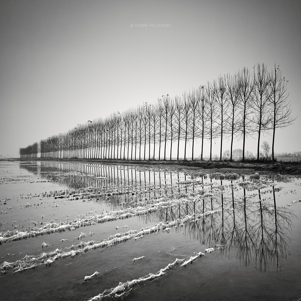 The hand of man and its traces in nature by Pierre Pellegrini ...