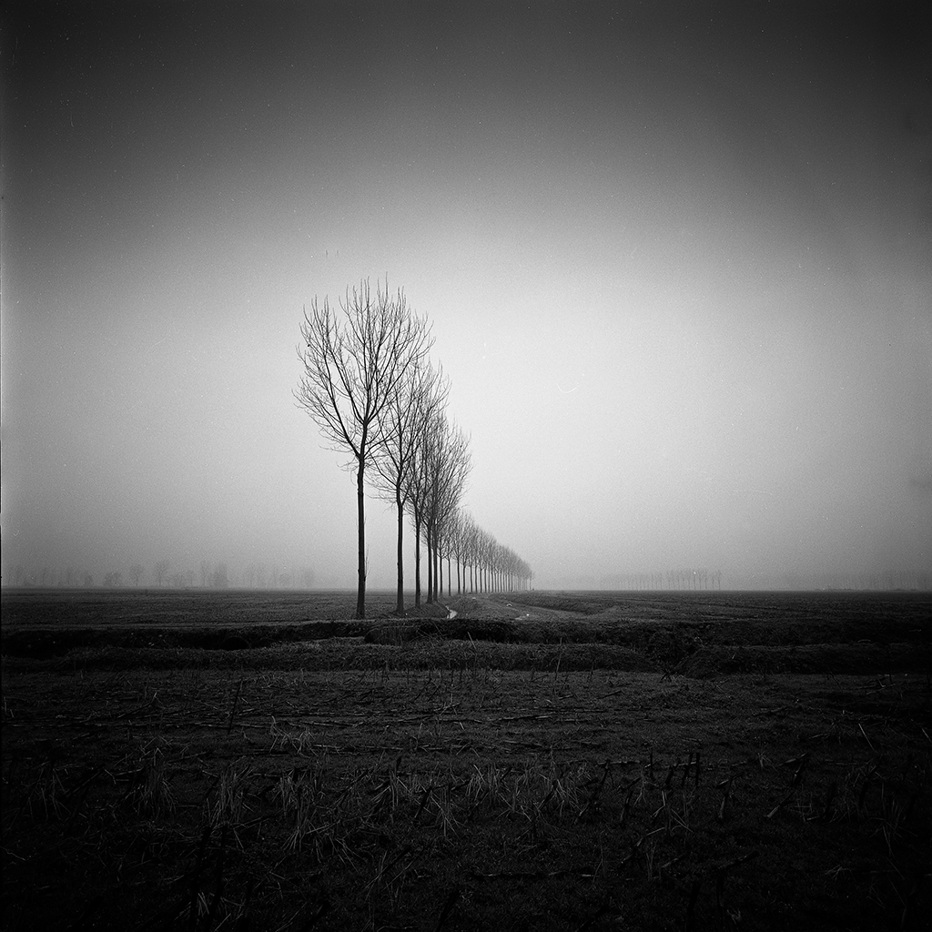 So quiet... by Pierre Pellegrini, Photography, Medium-format film | Art ...