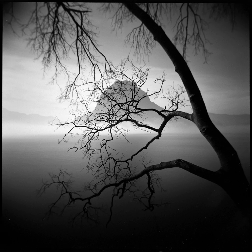 Nature surprises you every time by Pierre Pellegrini, Photography ...