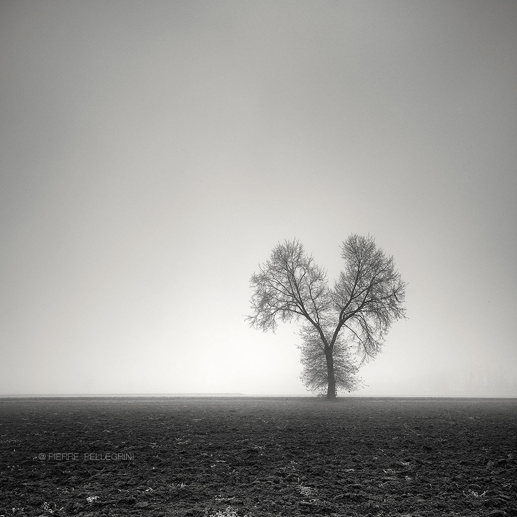 Natural radioactive symbol by Pierre Pellegrini, Photography, Digital ...