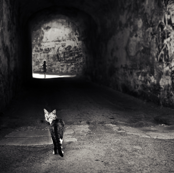 Doubt by Mindaugas Gabrenas, Photography, Medium-format film | Art Limited