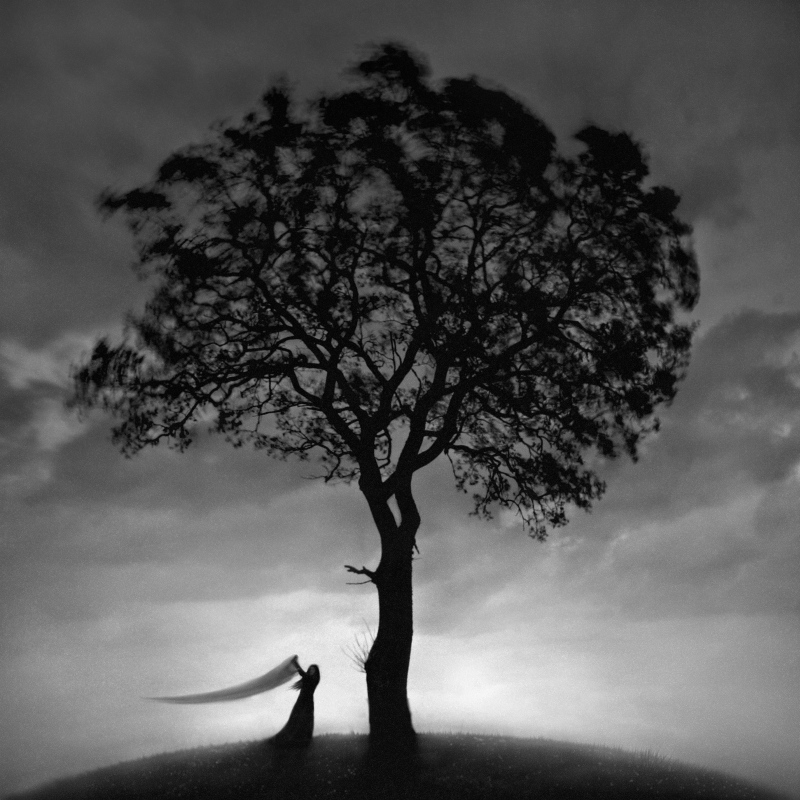 Blow wind blow by Dariusz Klimczak, Digital art, Composition | Art Limited