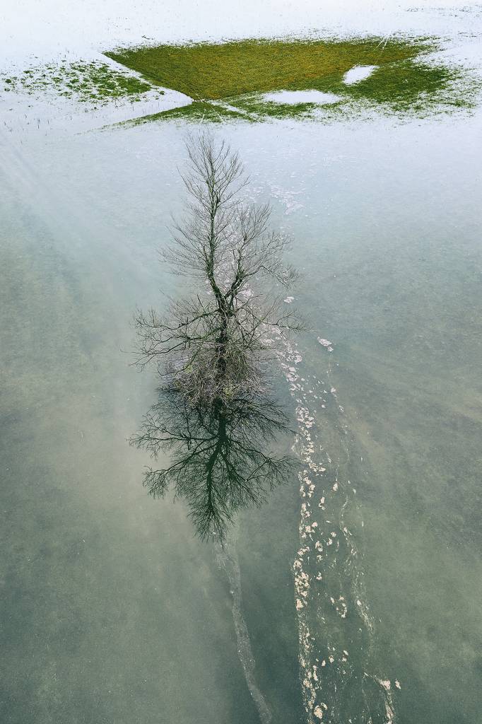 Alone by Jure Kravanja, Photography, Digital | Art Limited