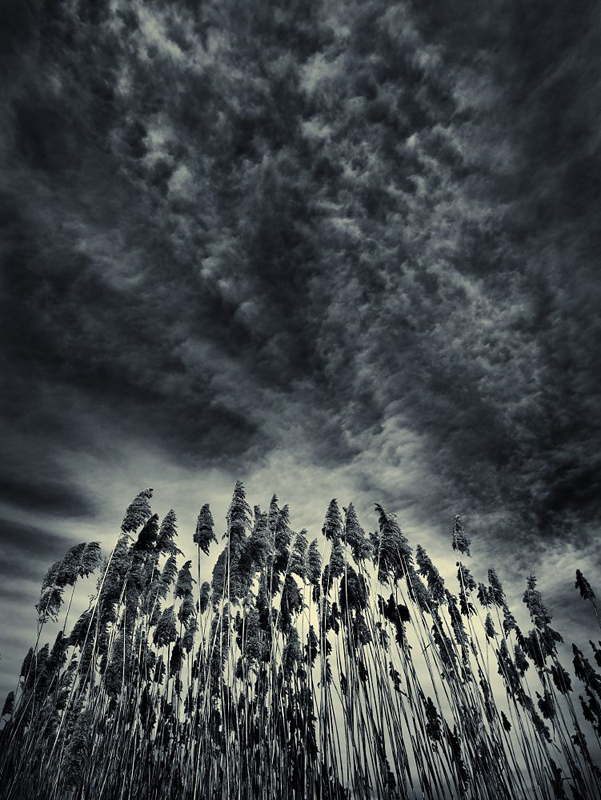 Flow by Marinus Wieten, Photography, Digital | Art Limited