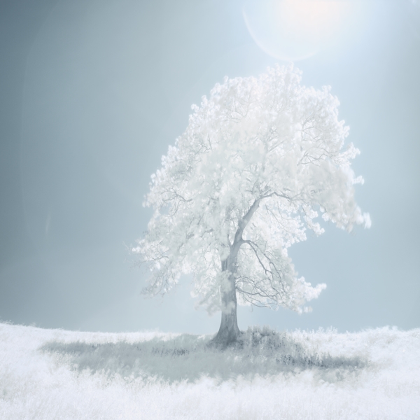 Tango by Yann Grancher, Photography, Digital | Art Limited