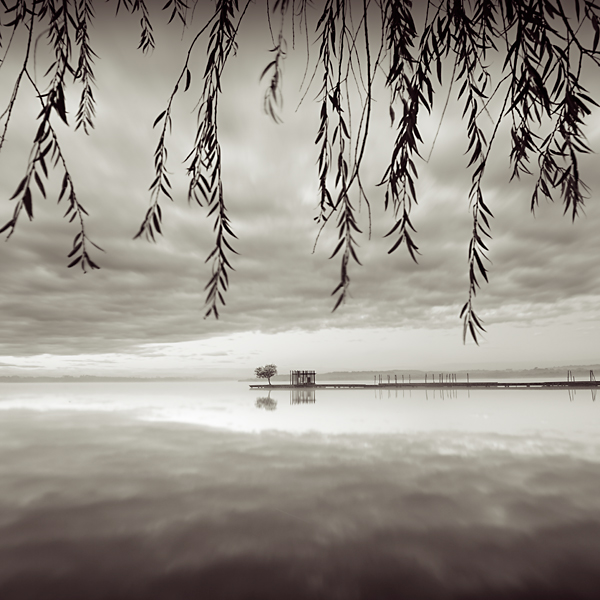 November Rain by Yalçın Varnalı, Photography, Digital | Art Limited