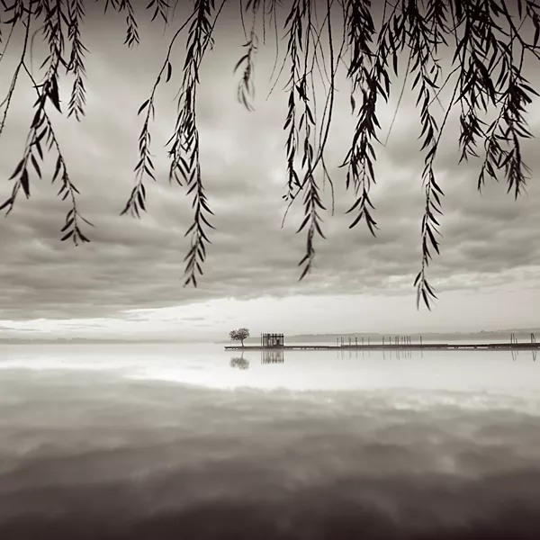 November Rain by Yalçın Varnalı, Photography, Digital