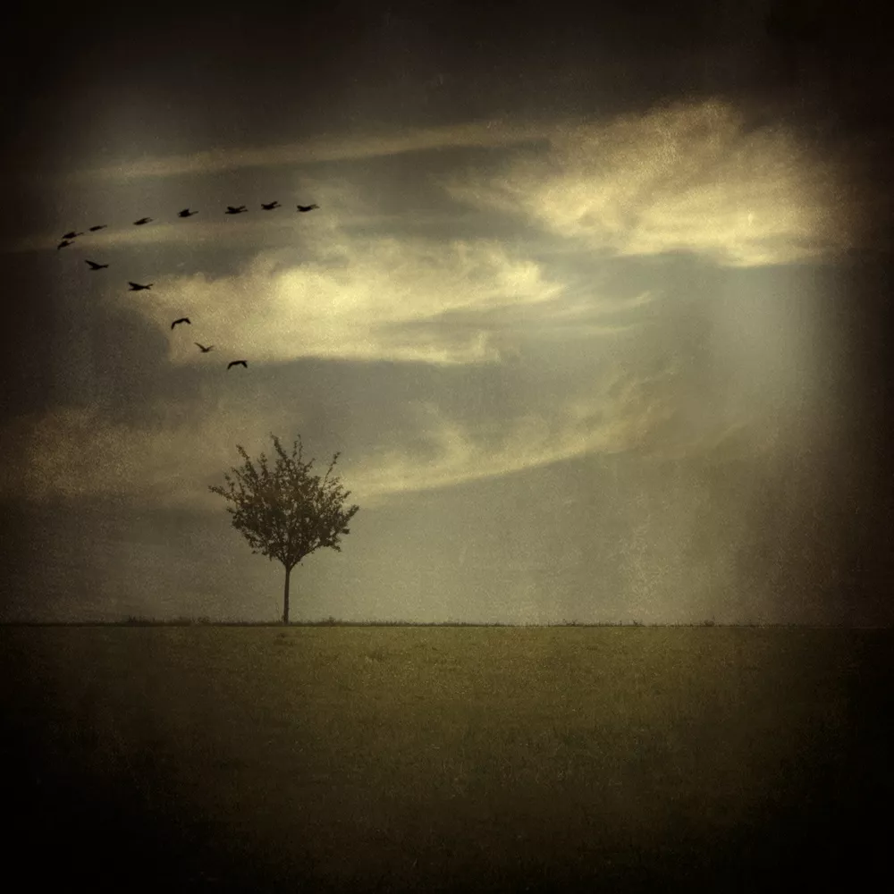 fading away by Anja Bührer, Digital art | Art Limited