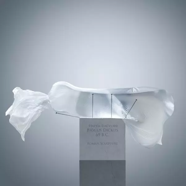 Shy par Ruadh Delone, Photographie, Montage, retouche | Art Limited