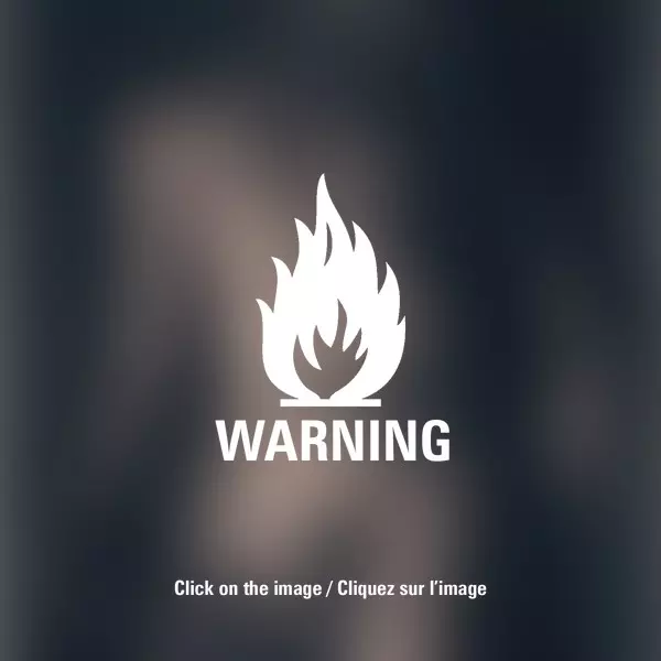 Très fragile by Victor Zamanski, art work | Art Limited