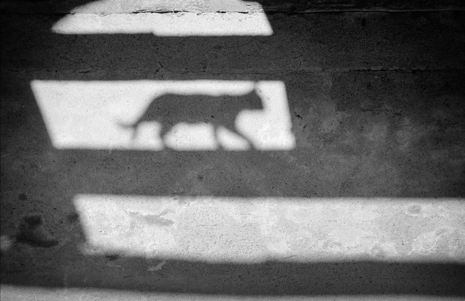 The Walking Shadow by Alessandro Rovelli, Photography, film 24x36, 35mm ...