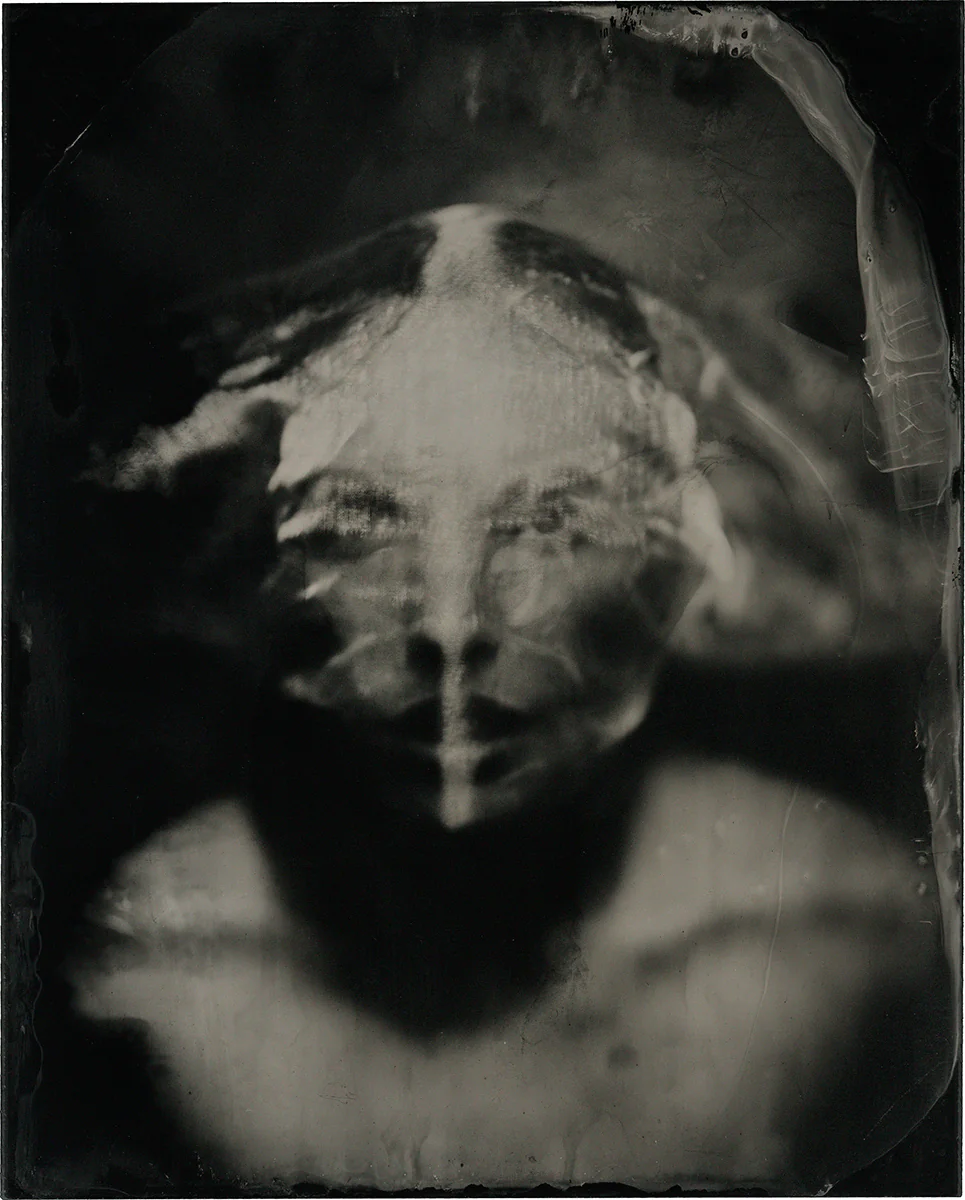 Flying II by James Wigger, Photography, Large-format film | Art Limited
