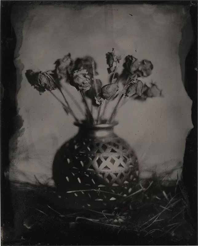 Roses Of The Dead by James Wigger, Photography, Large-format film | Art ...