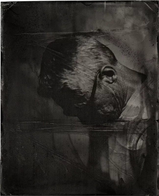 Coco144 4 by James Wigger, Photography, Large-format film | Art Limited