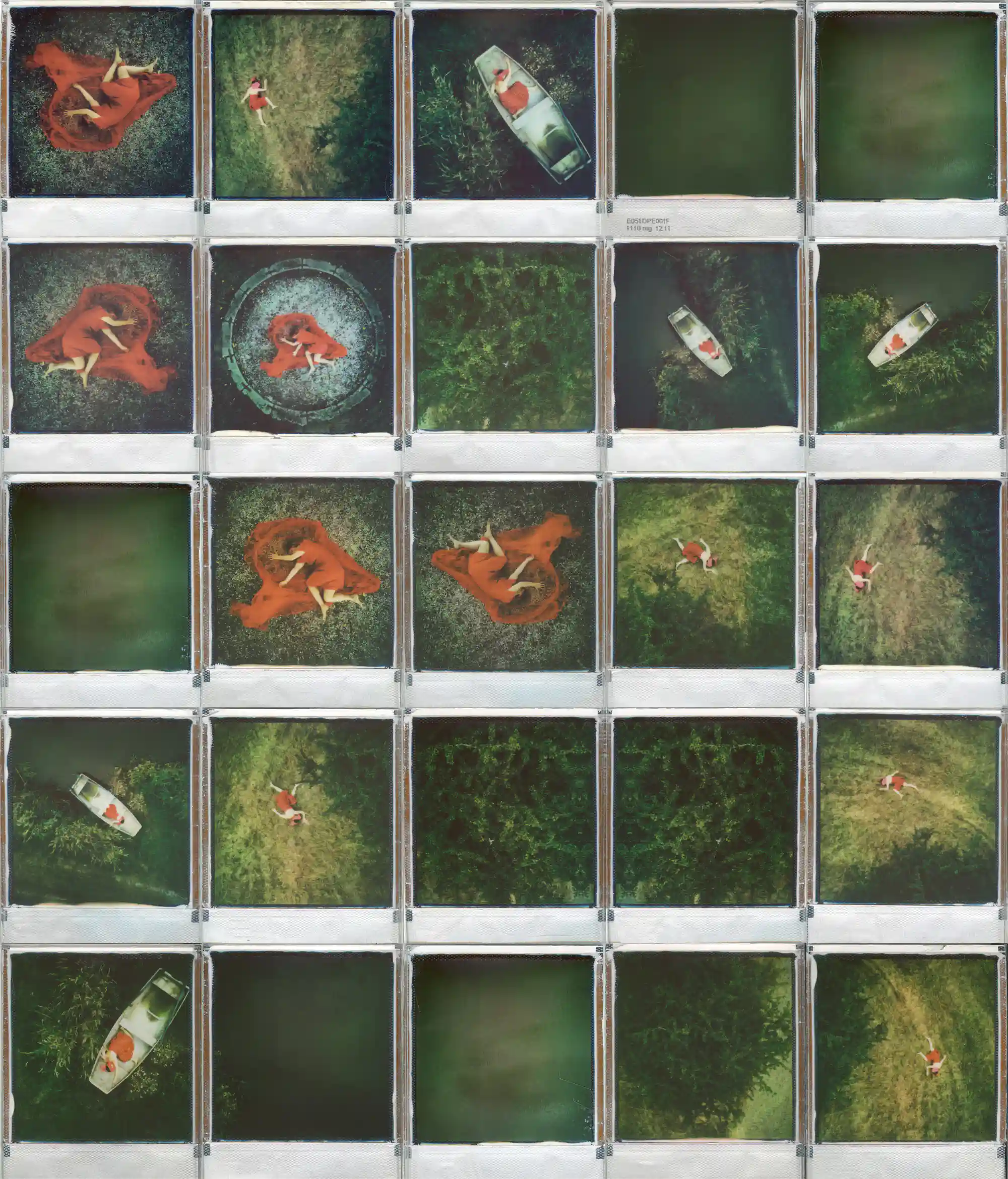 Stranded in nature by Andrea Ehrenreich, Mixed media, Collage | Art Limited