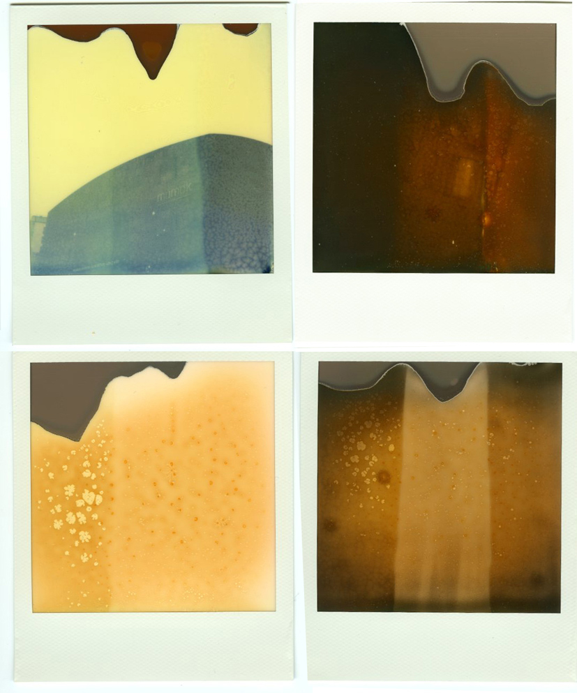 Distortion by Andrea Ehrenreich, Photography, Instant film | Art Limited