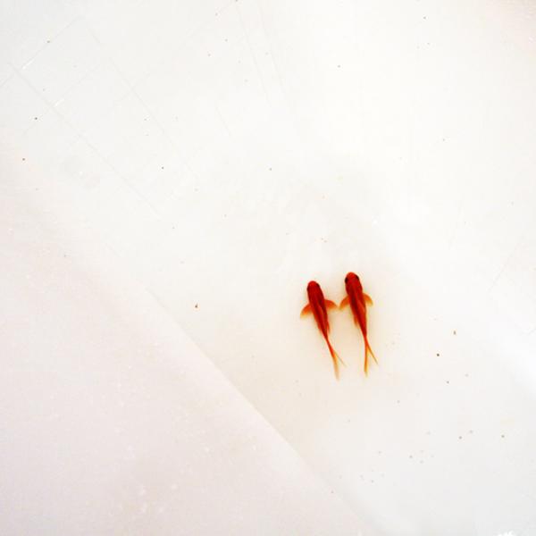 Let'S Go by Sabrina Lesert, Photography, Digital | Art Limited