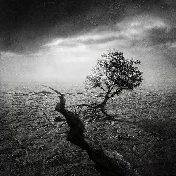 Untitled by Sarolta Bán, Digital art, Manipulation | Art Limited