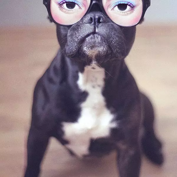 Marcelka Bobik Super Hero Flying Dog by ANNA66 ANDRZEJEWSKA ...