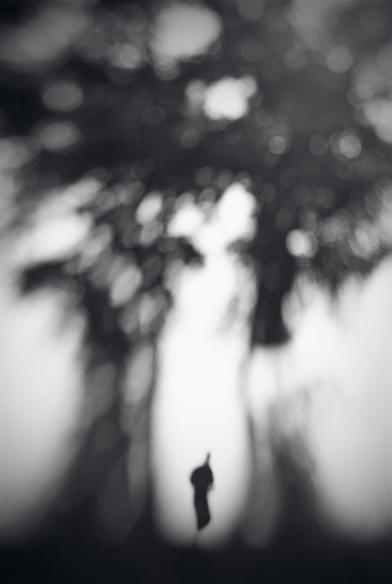 Entrapped by Hengki Lee, Photography, Montage, retouching | Art Limited