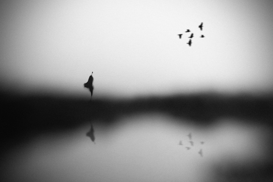 Conscience by Hengki Lee, Photography, Montage, retouching | Art Limited
