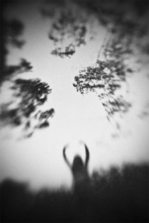 The Habitat by Hengki Lee, Photography, Digital | Art Limited