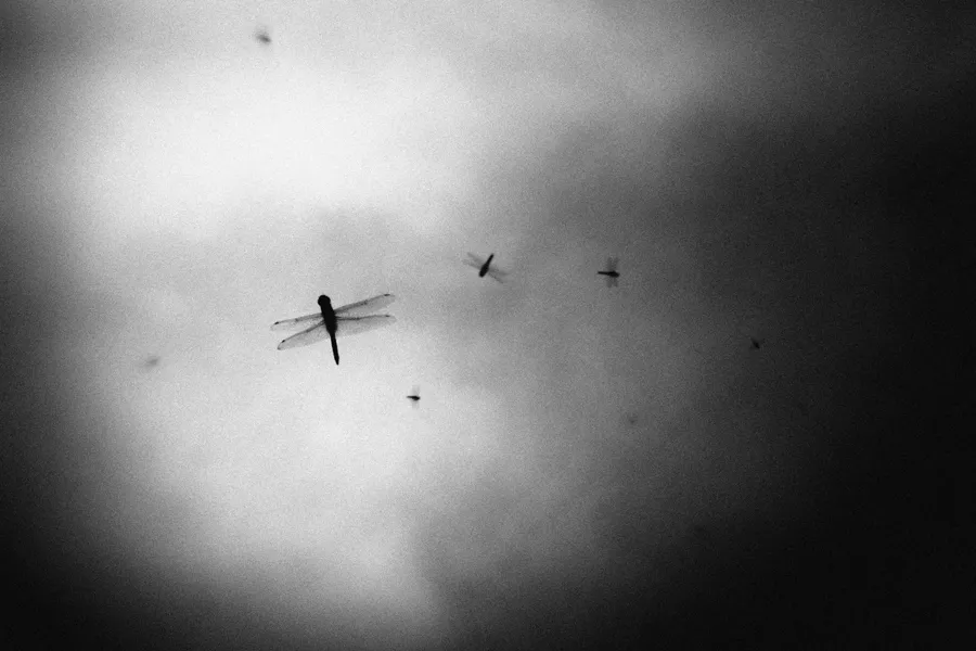 Squadron by Hengki Lee, Photography, Digital | Art Limited