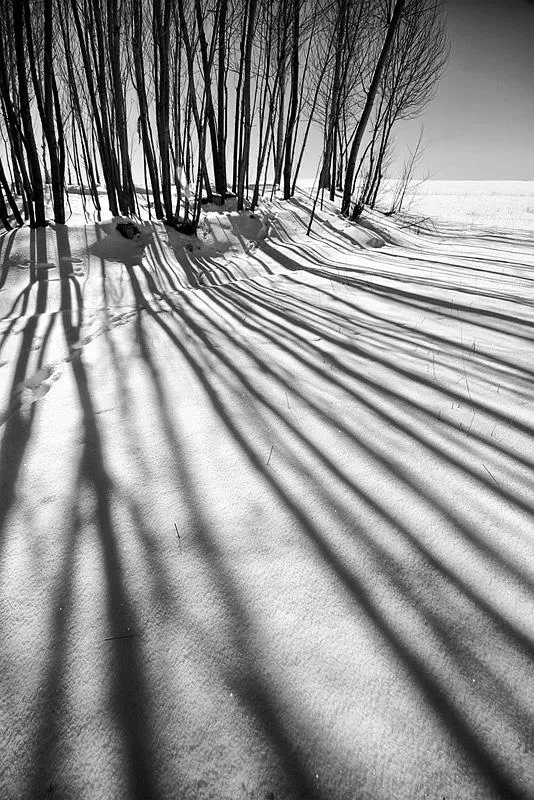 Natural Light And Shadow Photography Patterns Of Light And Shadow