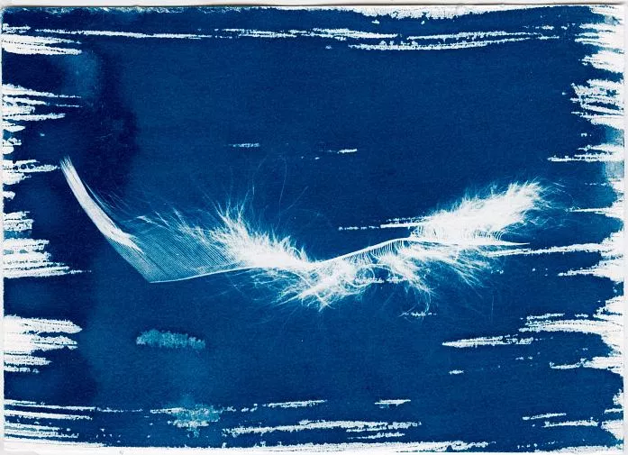 Flying feather by Elizerman, art work | Art Limited